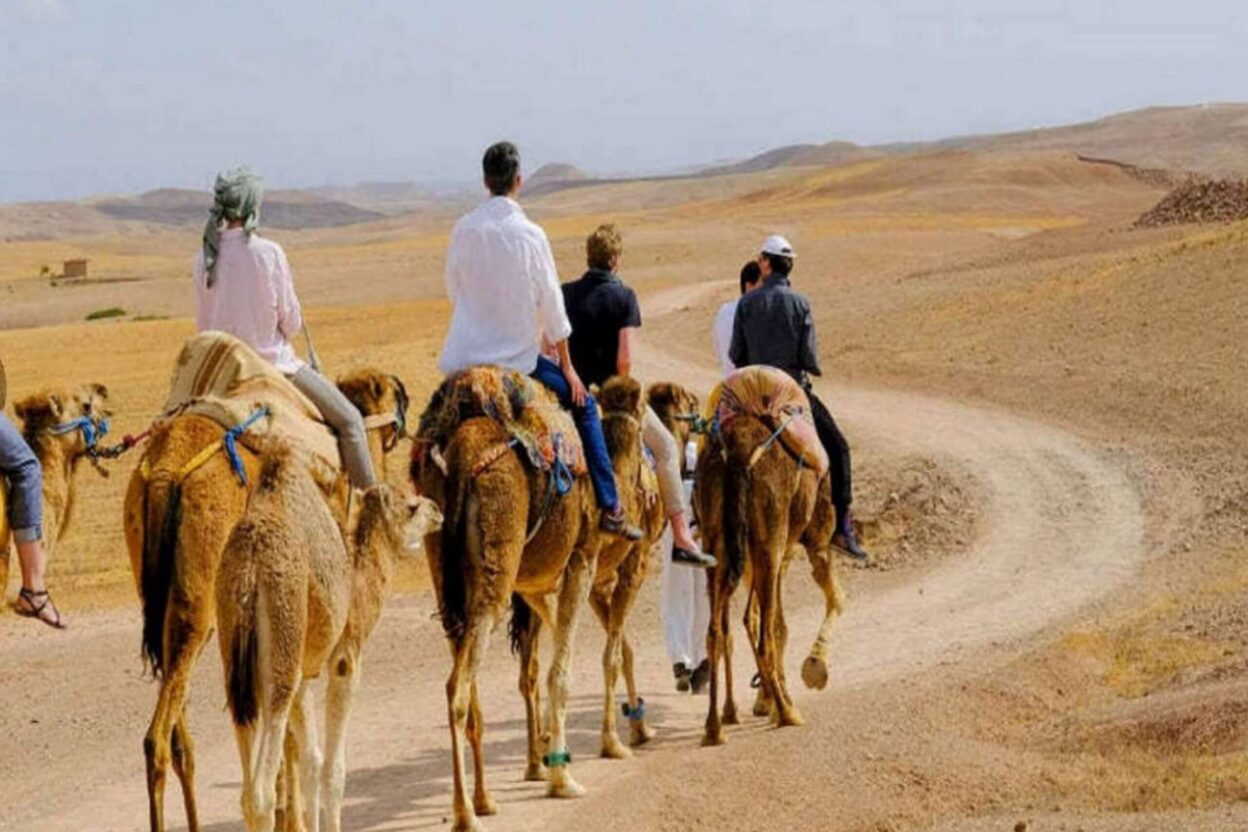 Inara Camp Maroc : Le Guide Complet 2025 pour une Expérience ...