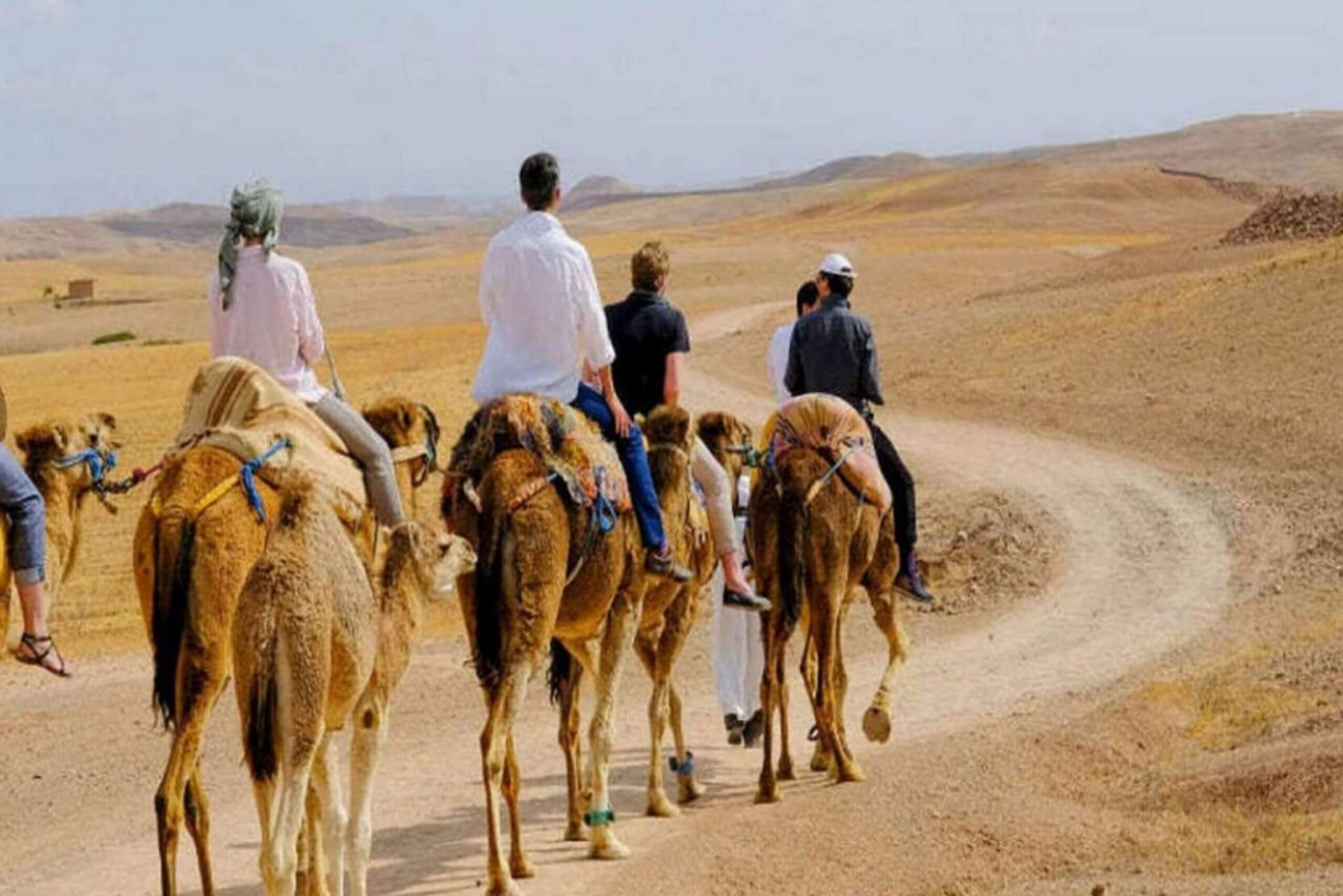 Inara Camp Maroc : Le Guide Complet 2025 pour une Expérience ...